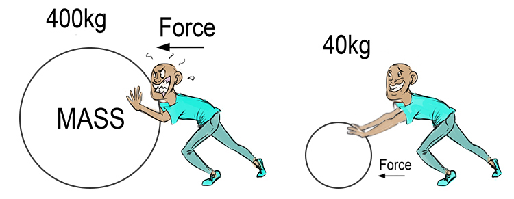 Course 10m1 Science Mhol